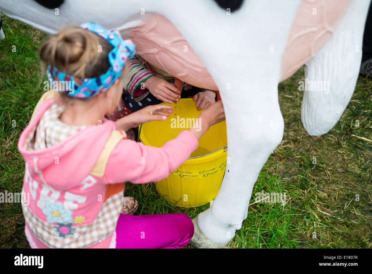 Fake cow hi-res stock photography and images - Alamy