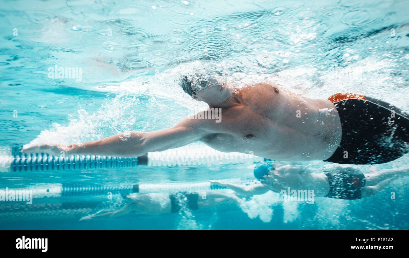 Swimmers racing in pool Stock Photo - Alamy