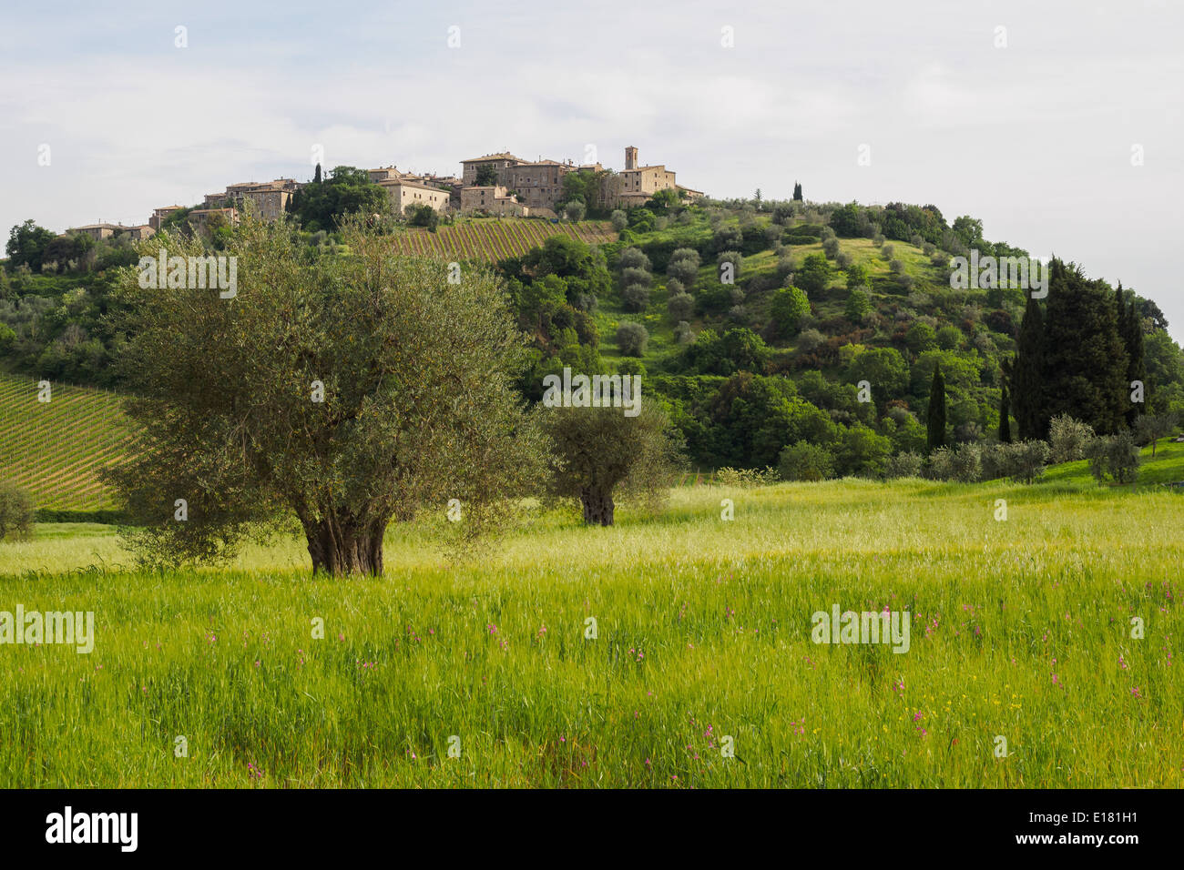 St. Antimo Abbey near Siena, Tuscany, Italy Stock Photo - Alamy
