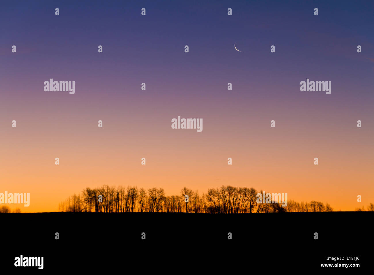 Taken with 200mm lens hi-res stock photography and images - Alamy