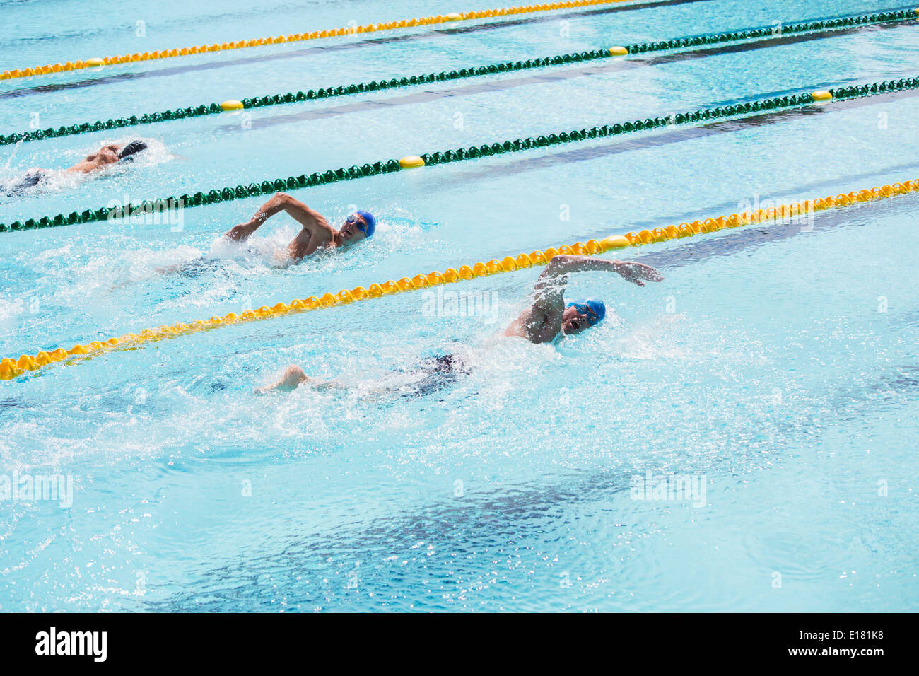 Swimmers racing in pool Stock Photo - Alamy