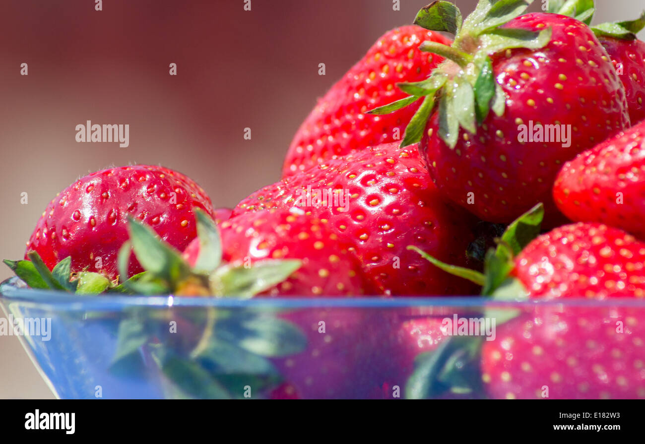 Large red strawberries close hi-res stock photography and images - Alamy
