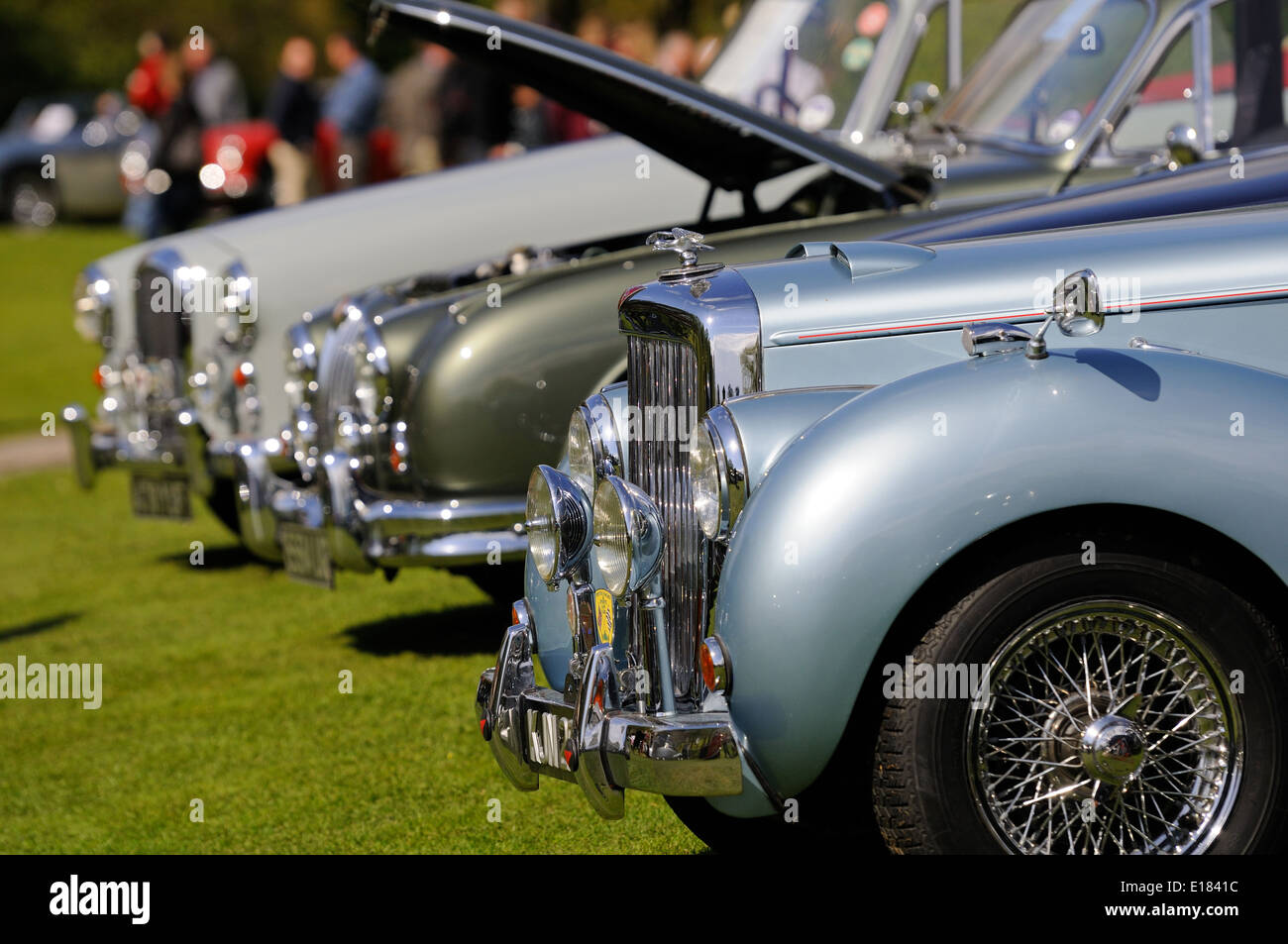 Classic cars line up on a lawn at a summer show Stock Photo - Alamy