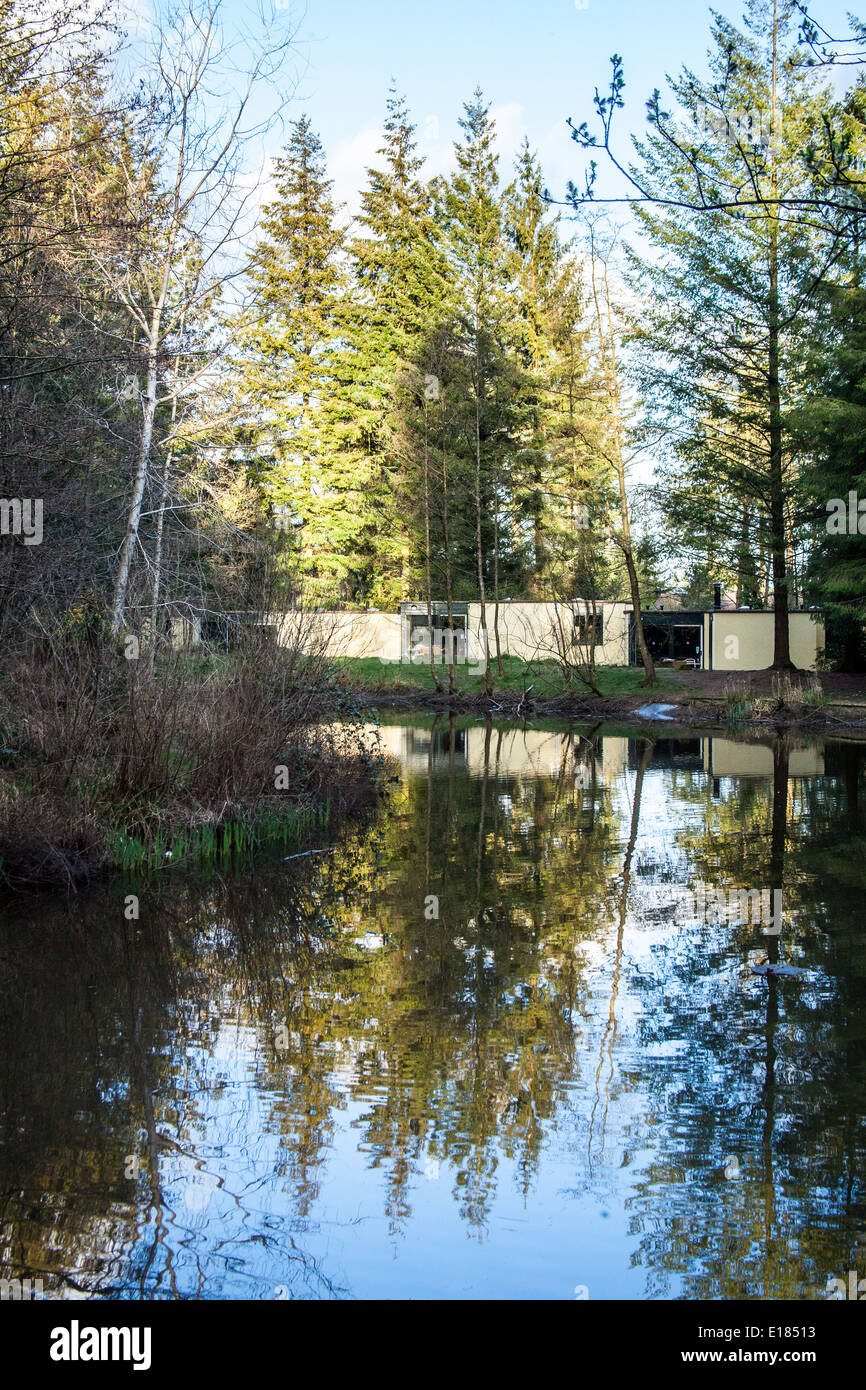 Woodland Lodges at Center Parcs Longleat Forest, Wiltshire, England ...