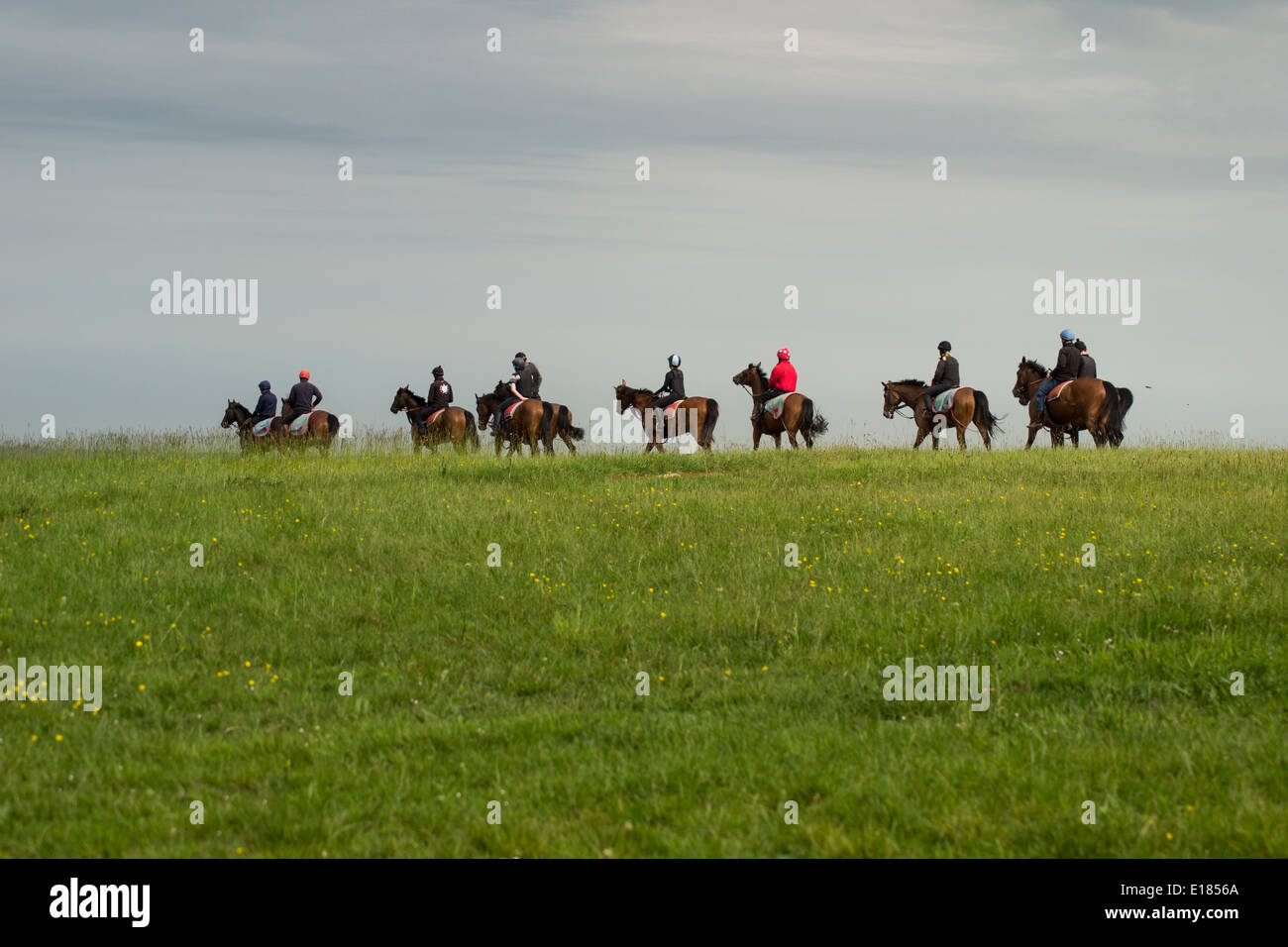Warren hill and suffolk hi-res stock photography and images - Alamy