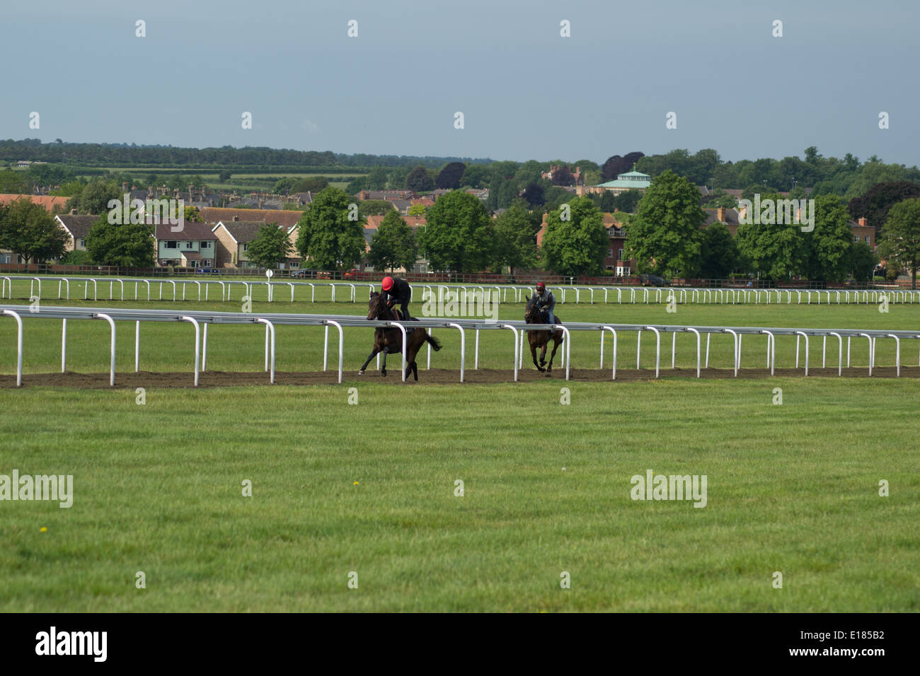 Warren hill newmarket hi-res stock photography and images - Alamy