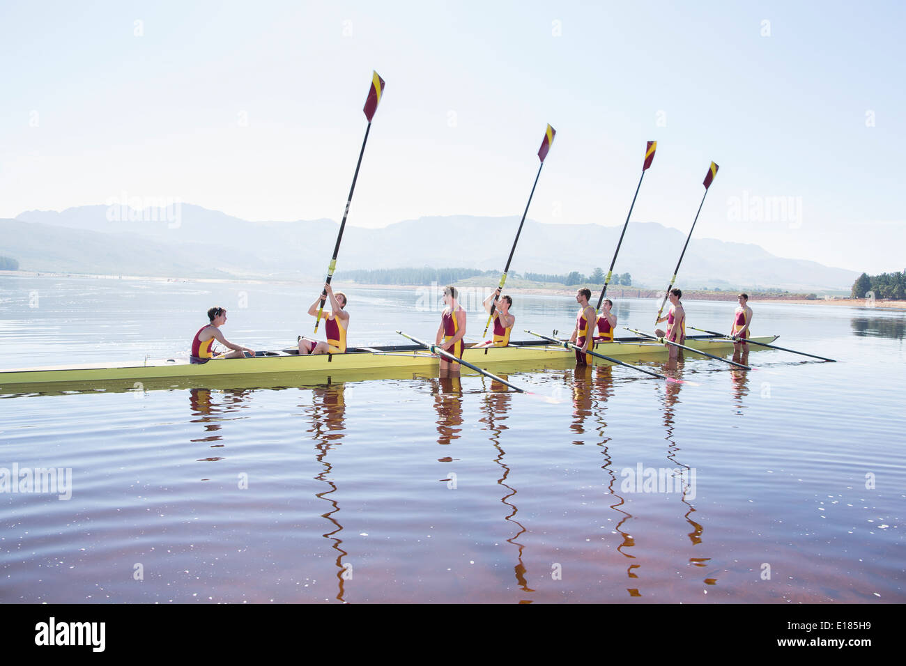 Rowing team with oars raised on lake Stock Photo - Alamy