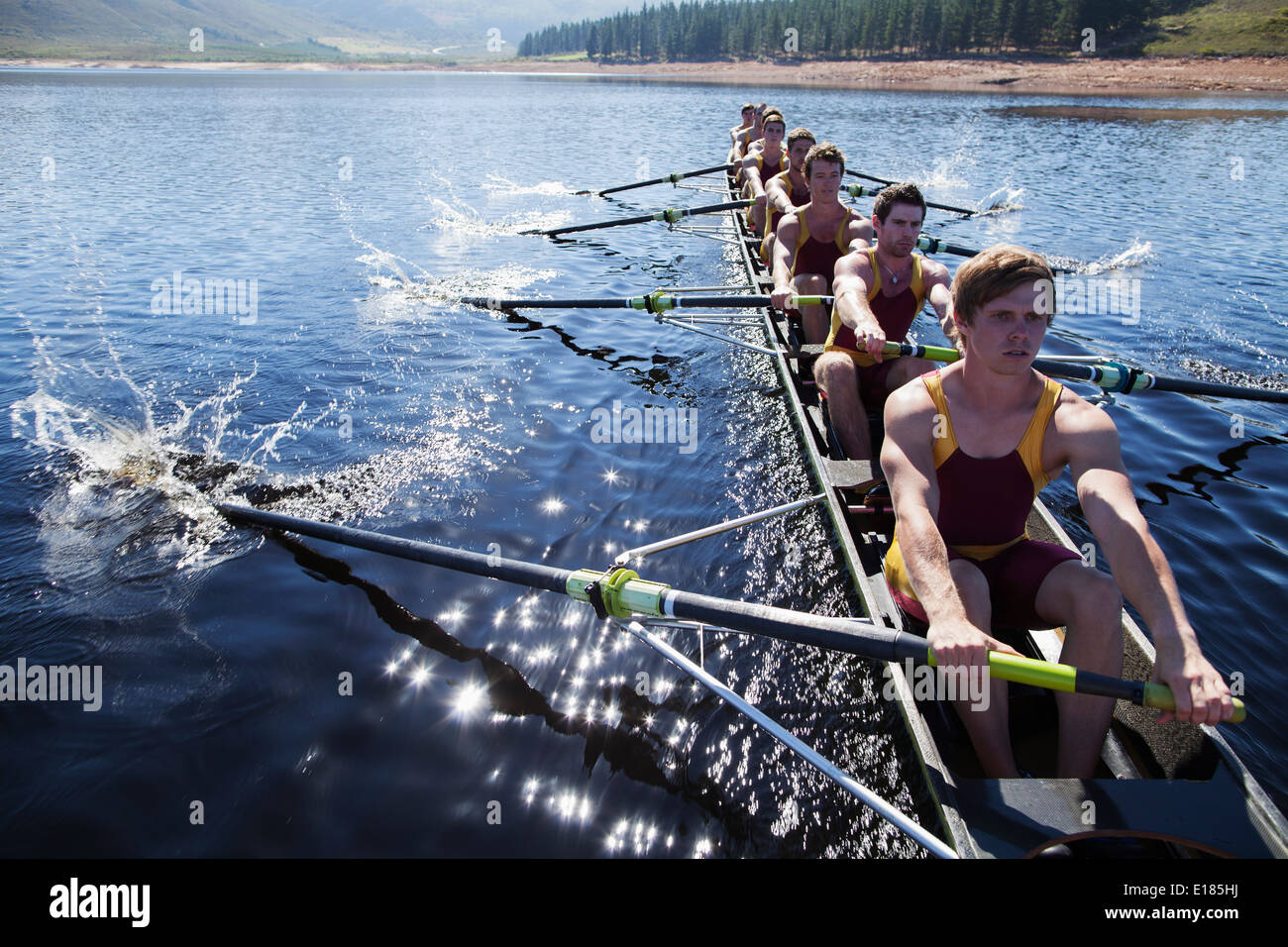Rowing team rowing scull on lake Stock Photo - Alamy Rowing team rowing scull on lake Stock Photo - Alamy