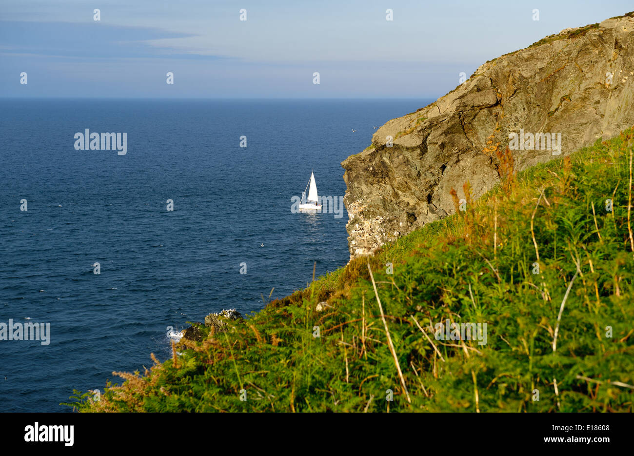 White Yacht sailing around Howth, Dublin, Ireland Stock Photo - Alamy