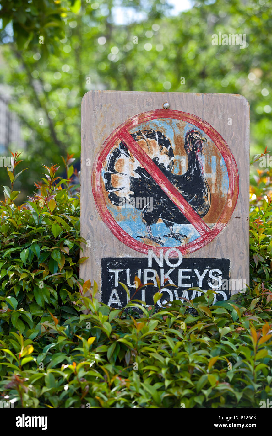 No Turkeys Allowed ? Quirky Street Sign In Avalon, Catalina Island ...