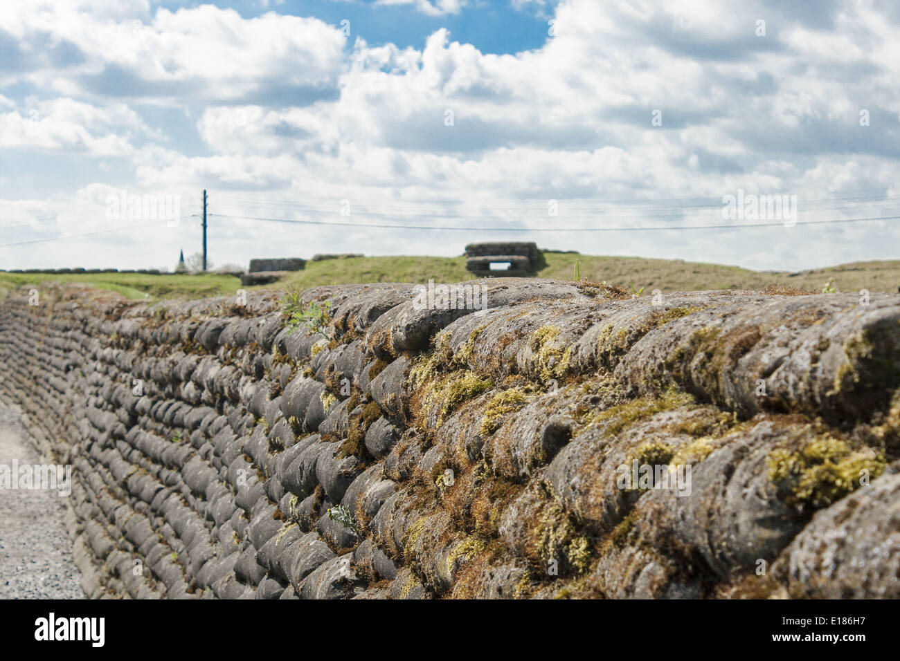 Trench of death world war 1 belgium flanders fields Stock Photo - Alamy
