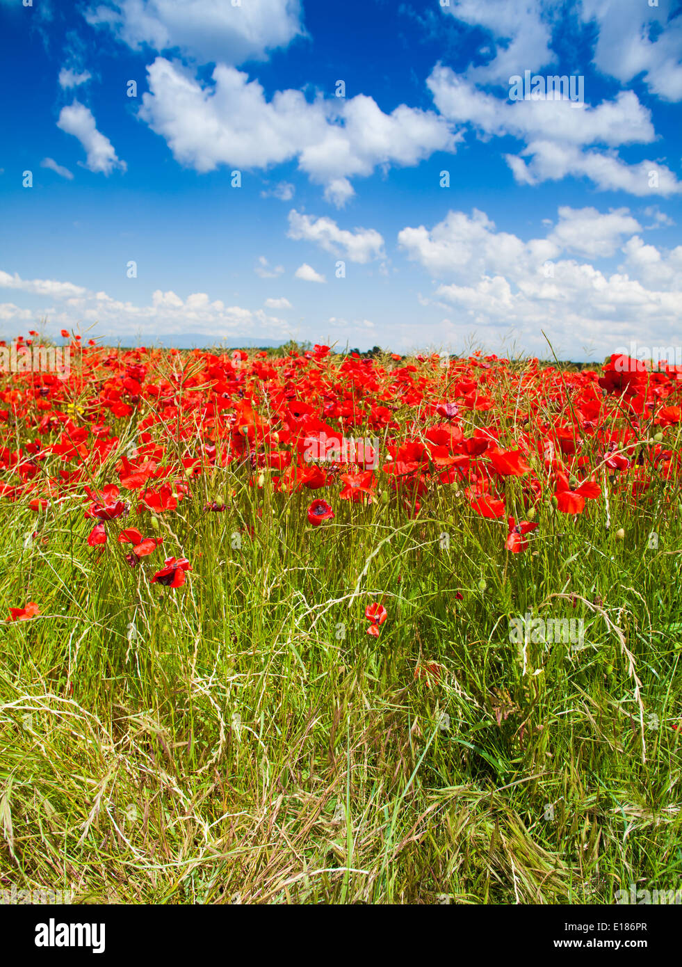 Spring sky hi-res stock photography and images - Alamy