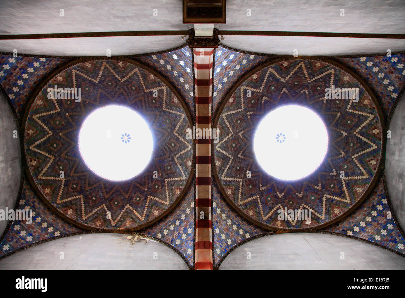 Ireland, Dublin, Trinity College, Victorian Museum Building, interior ...