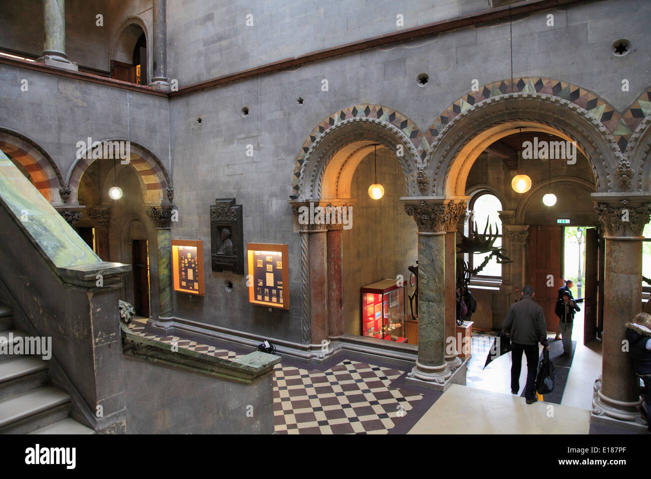 Ireland, Dublin, Trinity College, Victorian Museum Building, interior ...