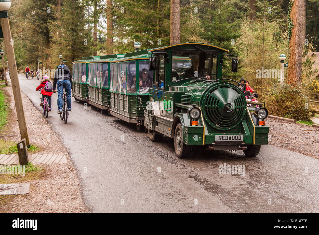 The land train at Center Parcs , Longleat, Wiltshire, England, United ...