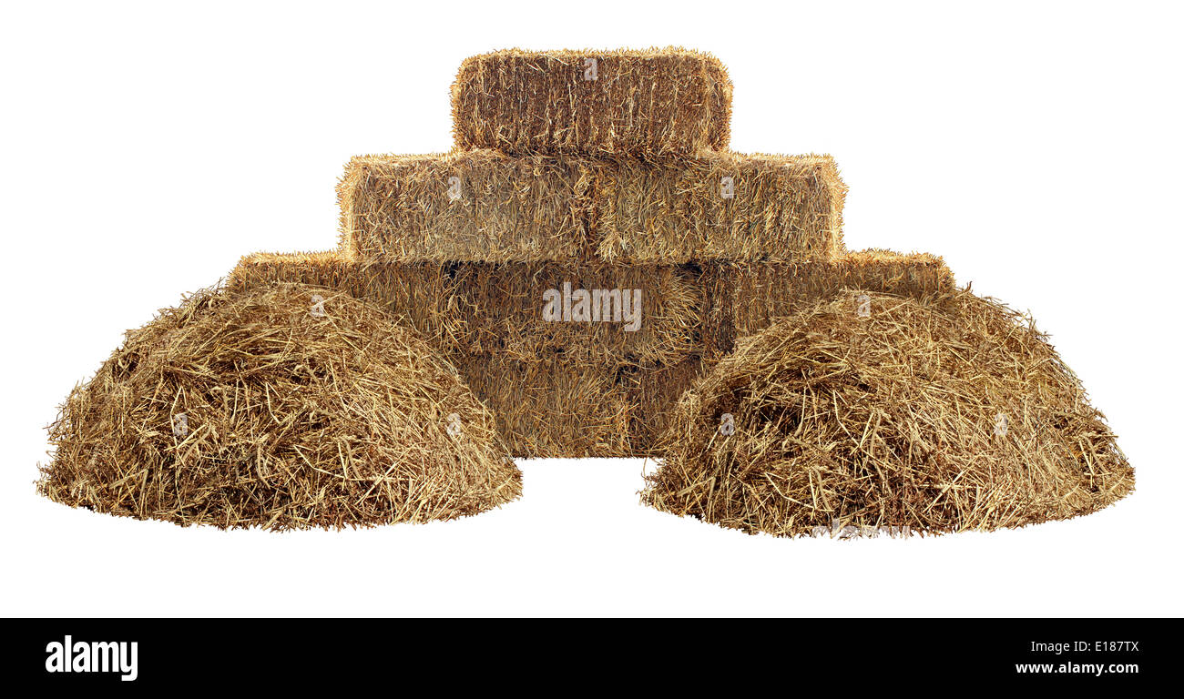 Hay pile and bundled tied haystack group isolated on a white background ...