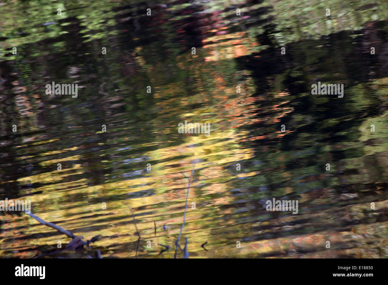Abstraction in water from fall tree for natural background Stock Photo ...
