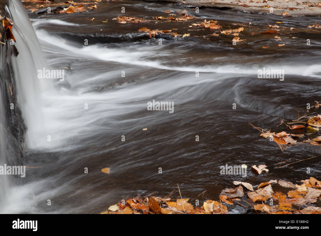 Water flowing over a dam and down a stream with fallen leaves on the ...