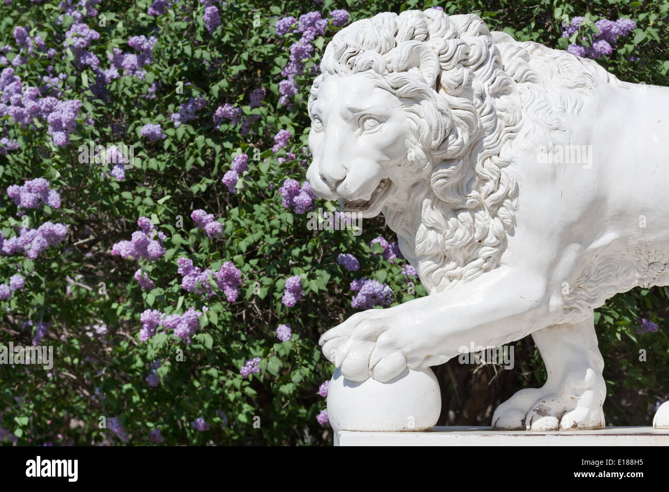Sculpture of the lion at the Yelagin palace in St. Petersburg, Russia ...