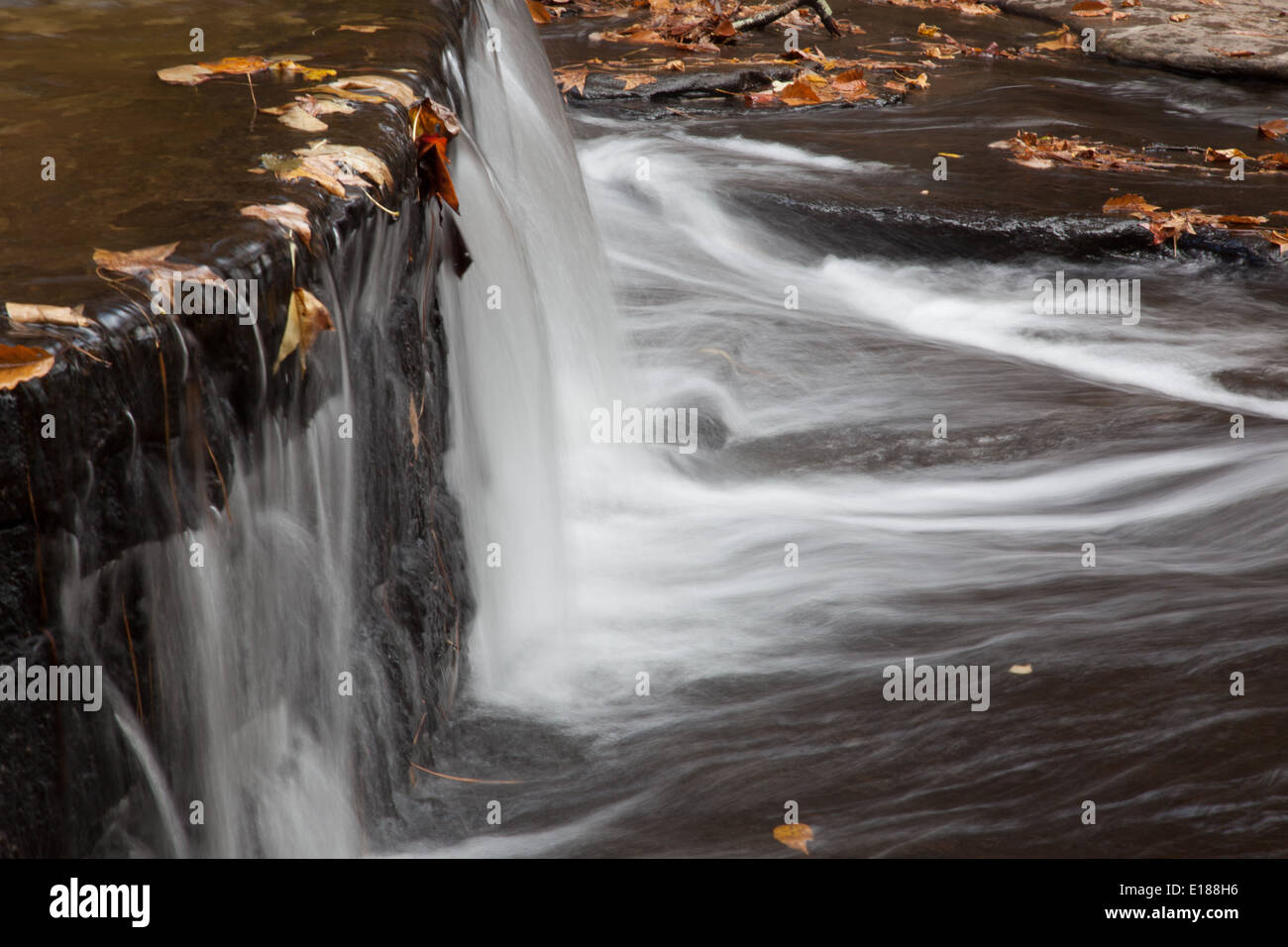 Water flowing over a dam and down a stream with fallen leaves on the ...