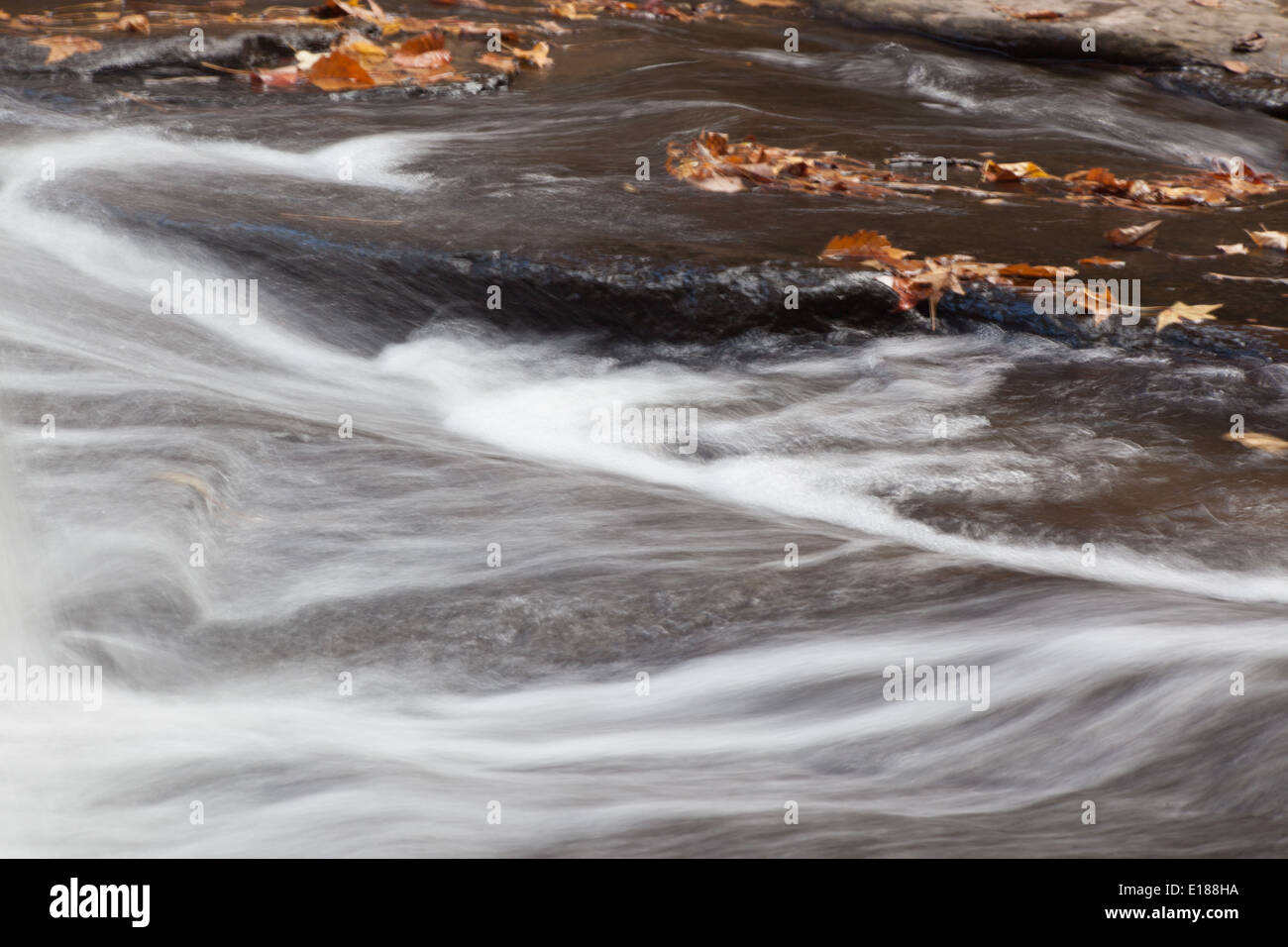Water flowing down a stream with fallen leaves on the side Stock Photo ...
