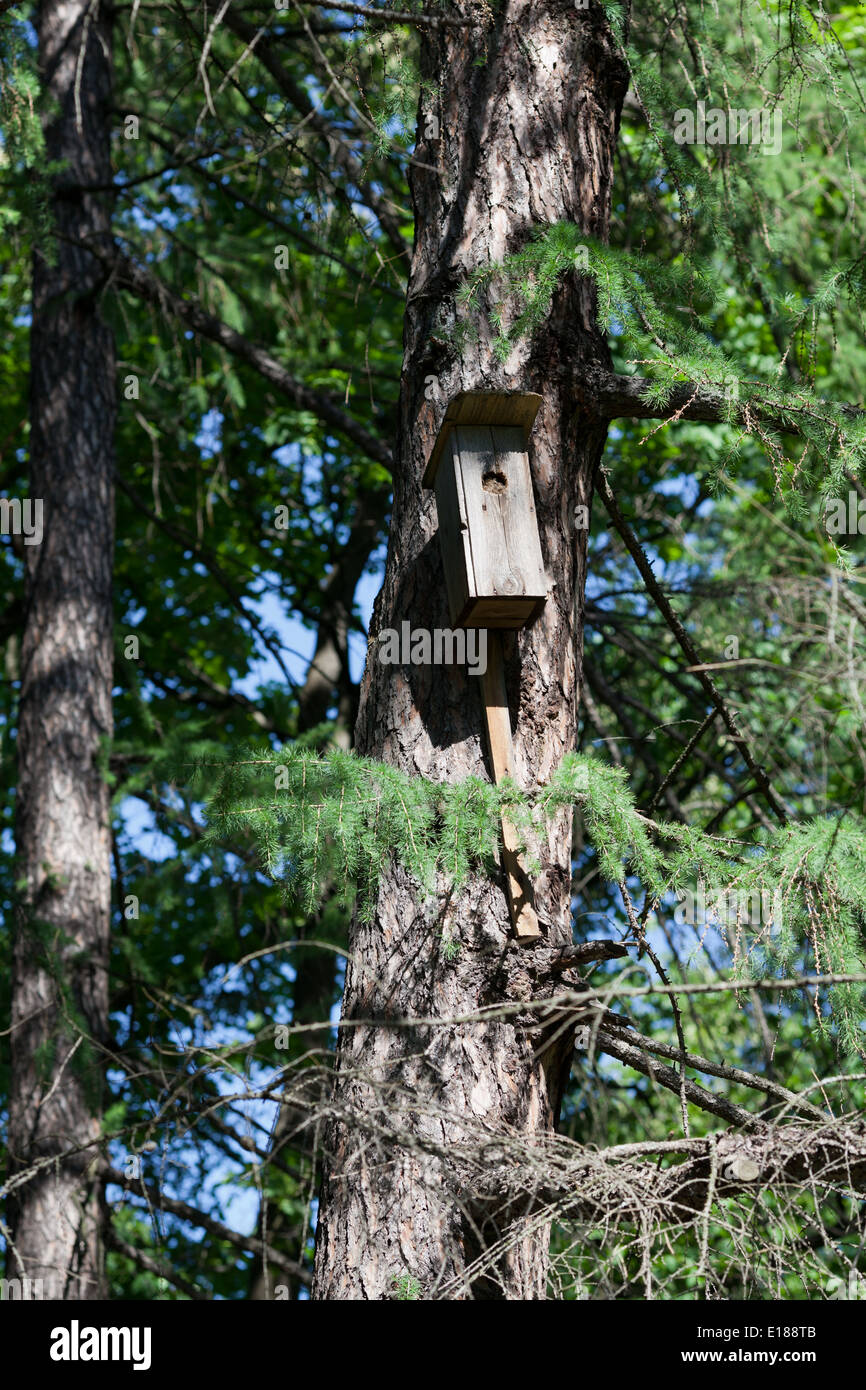 Larch wood shed hi-res stock photography and images - Alamy
