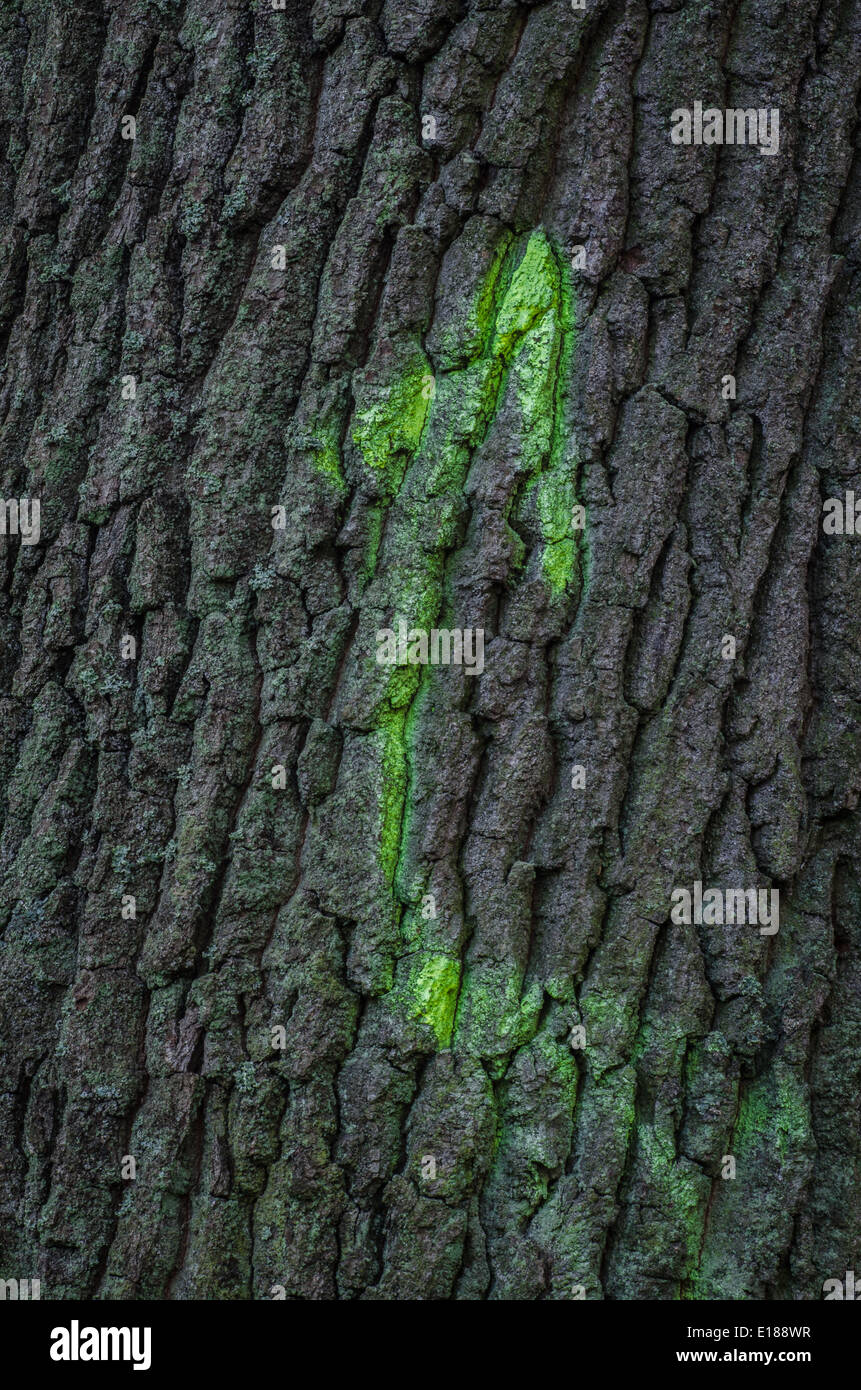 Green arrow hi-res stock photography and images - Alamy