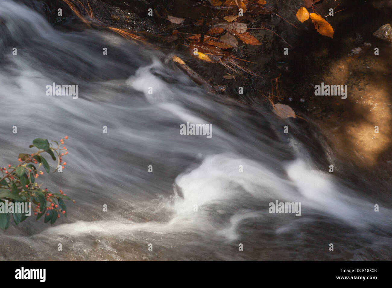 Water flowing over a small dam in the fall of the year Stock Photo - Alamy
