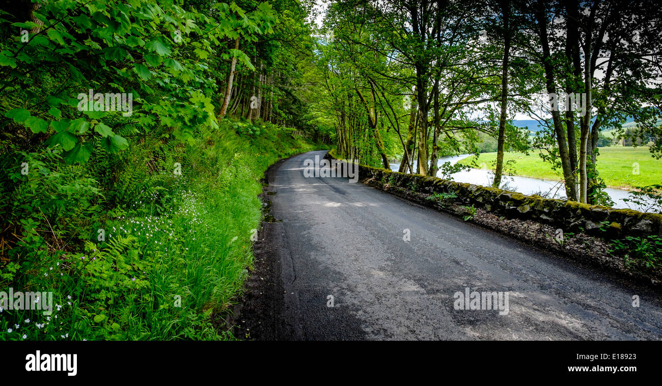 Road alongside Cardrona Forest and the River Tweed in the Scottish ...