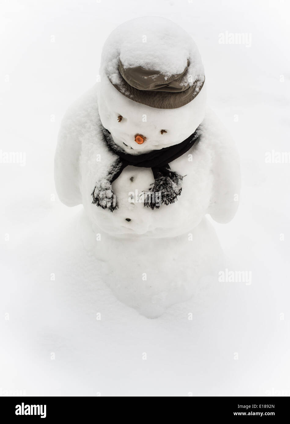 Melting snowman spring hi-res stock photography and images - Alamy