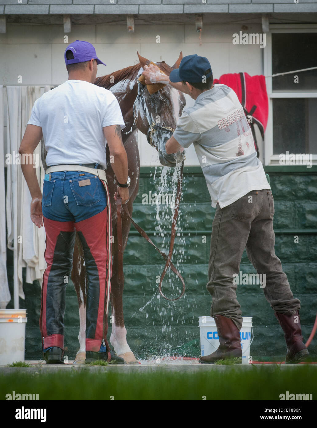 Elmont, New York, USA. 26th May, 2014. Exercise rider Willie Delgado ...