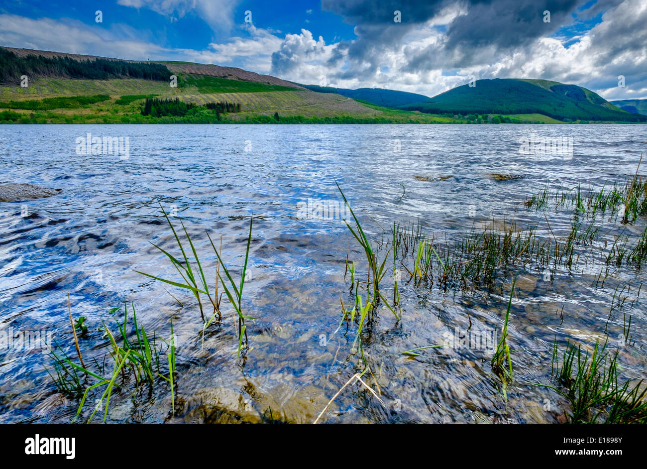 St Mary's Loch, Scottish Borders Stock Photo - Alamy