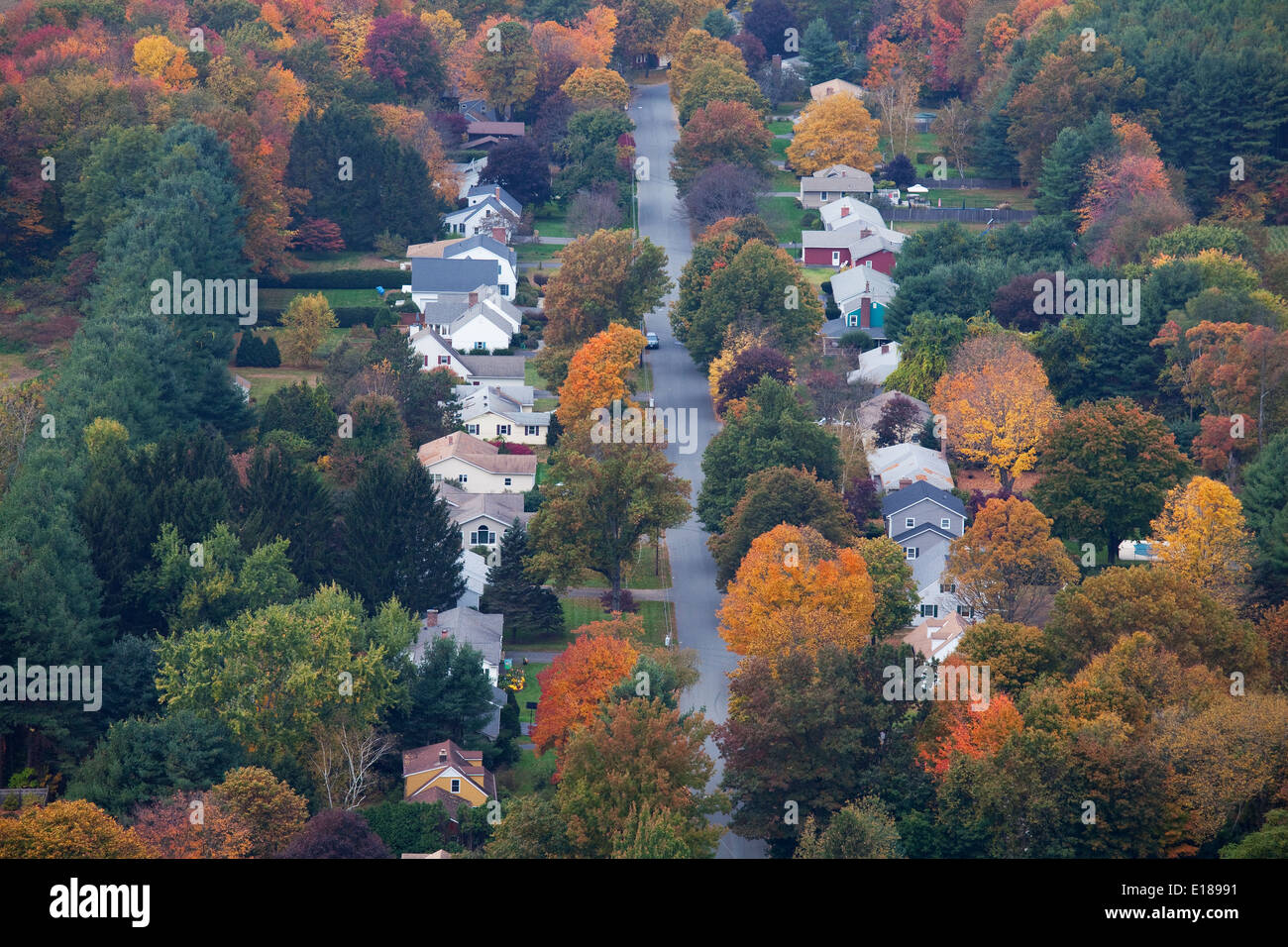 Autumn trees among suburban neighborhood Stock Photo - Alamy