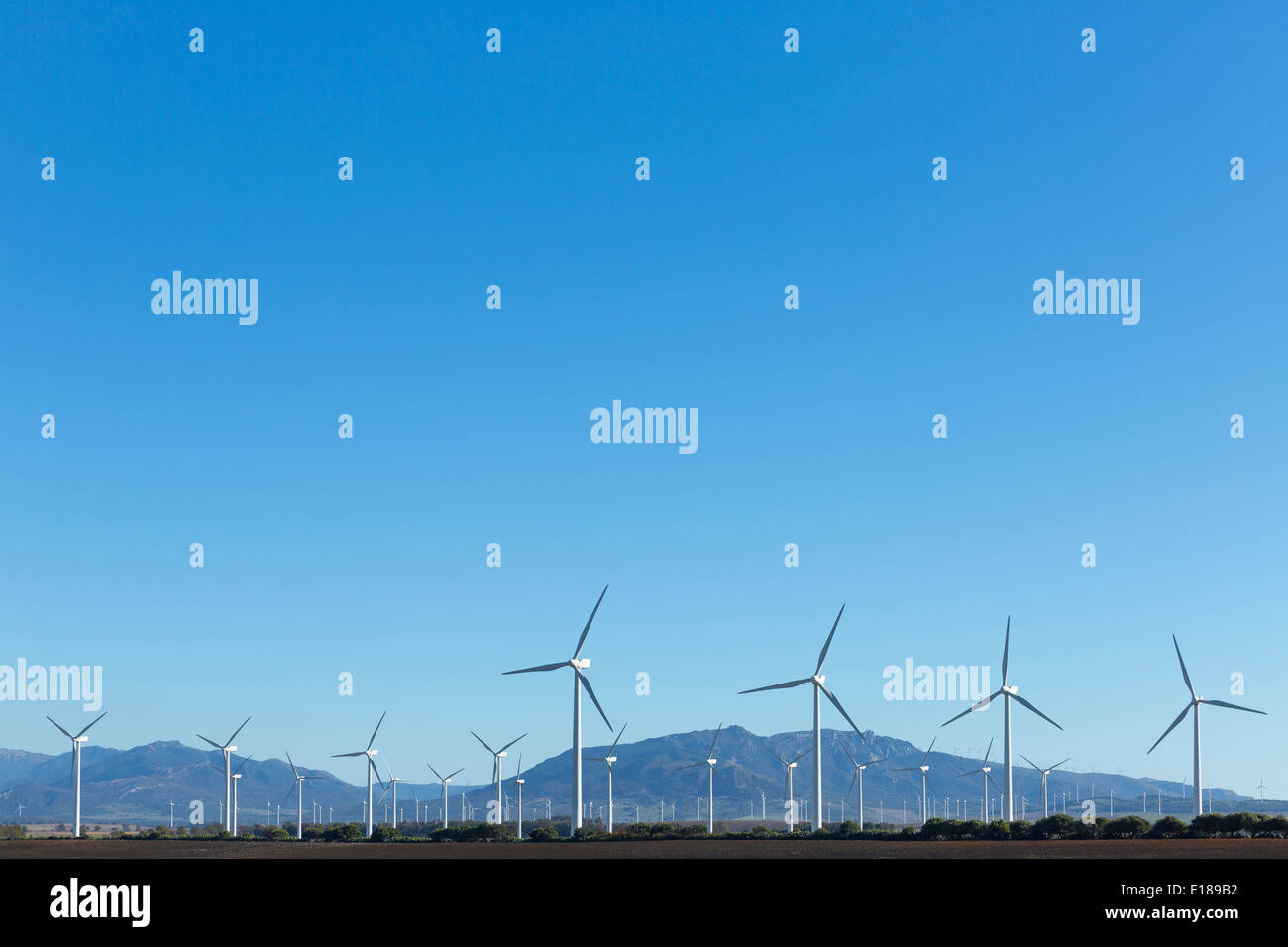 Wind farm under blue sky Stock Photo - Alamy