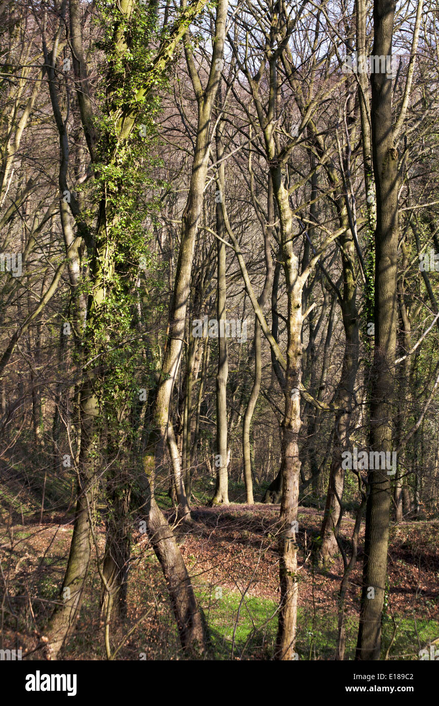 Romiley hi-res stock photography and images - Alamy