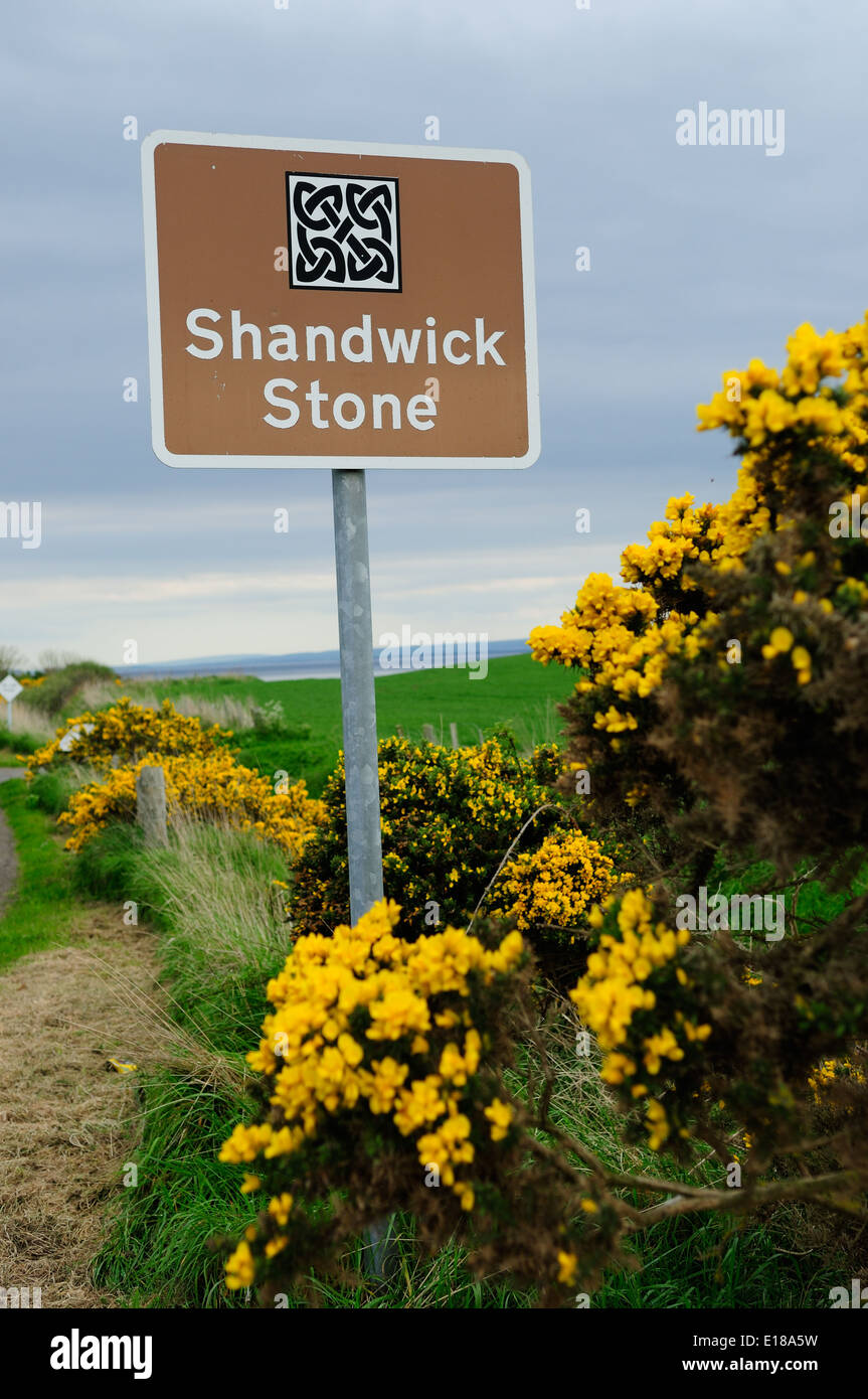 Shadwick Pictish Stone Scotland Stock Photo - Alamy