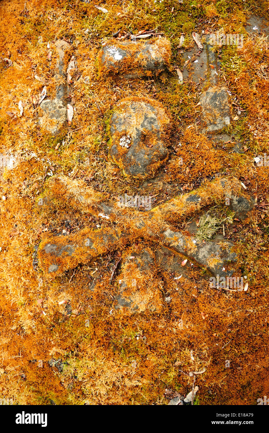 Nigg stone hi-res stock photography and images - Alamy