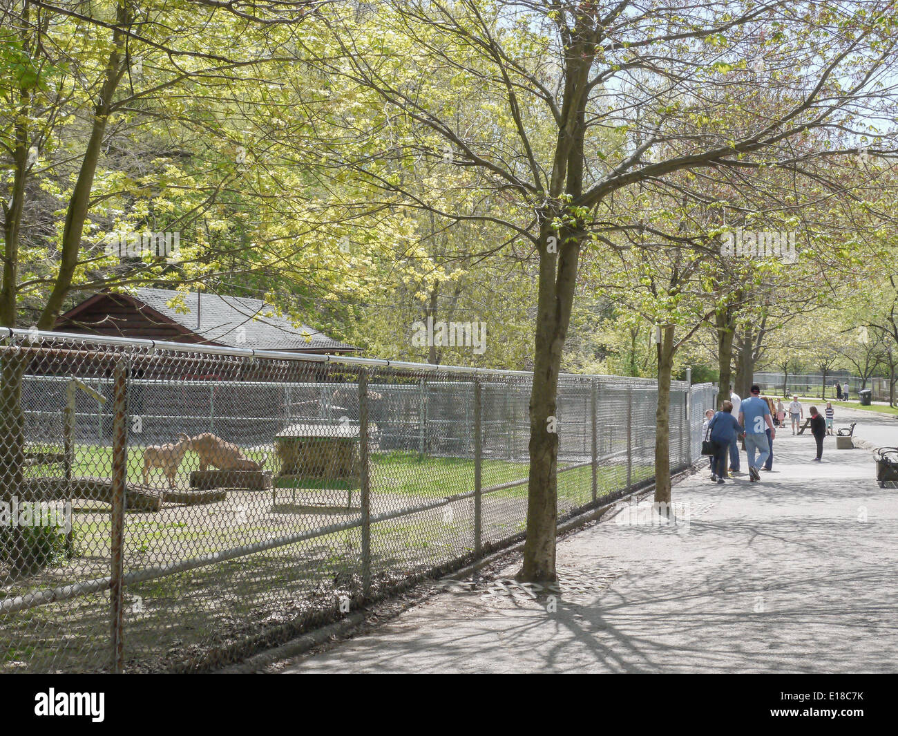 high park zoo toronto canada spring Stock Photo - Alamy