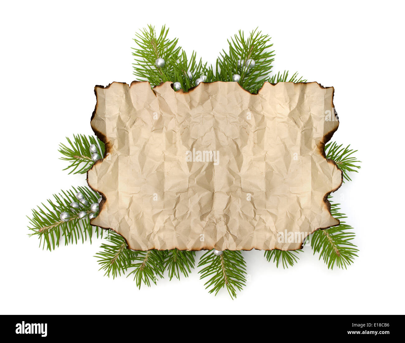 Old parchment paper with copy space on Christmas tree branch background ...