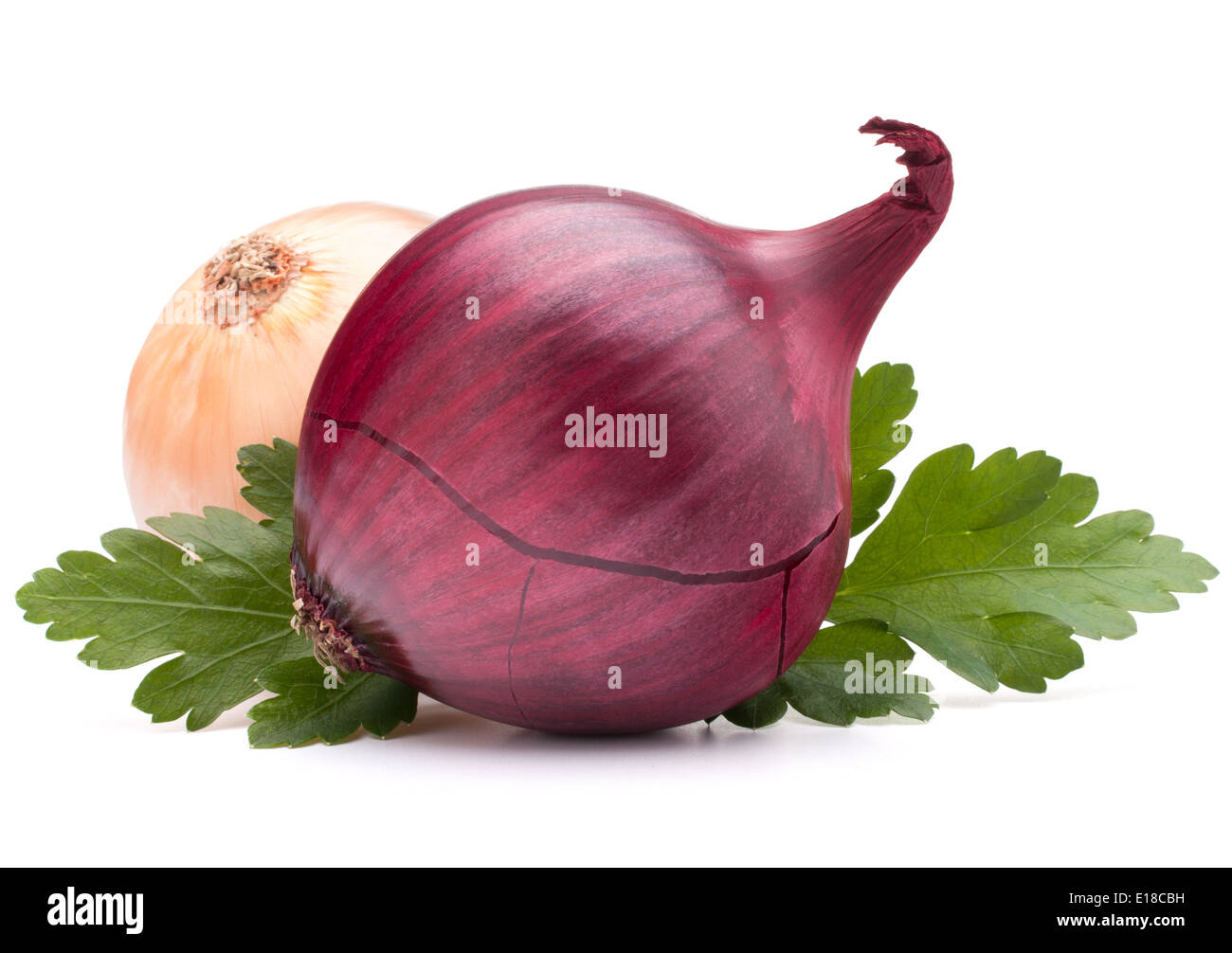 Onion vegetable bulb and parsley leaves still life isolated on white ...