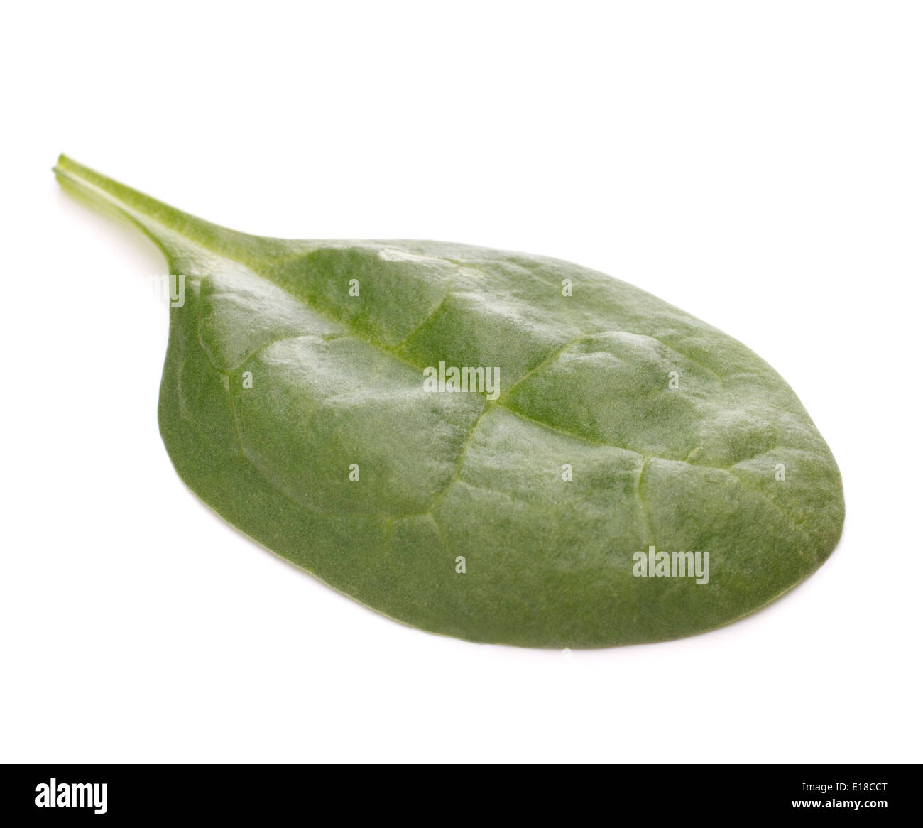 Spinach vegetables isolated on white background cutout Stock Photo - Alamy