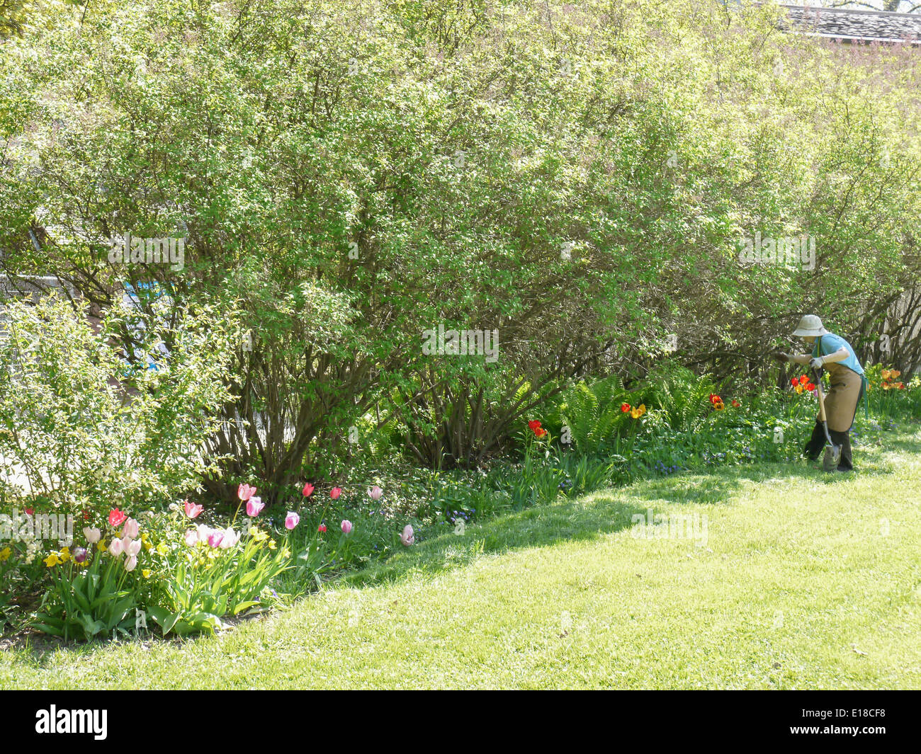 Landscaper hi-res stock photography and images - Alamy