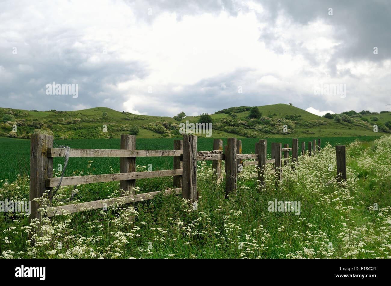 Ivinghoe hills hi-res stock photography and images - Alamy