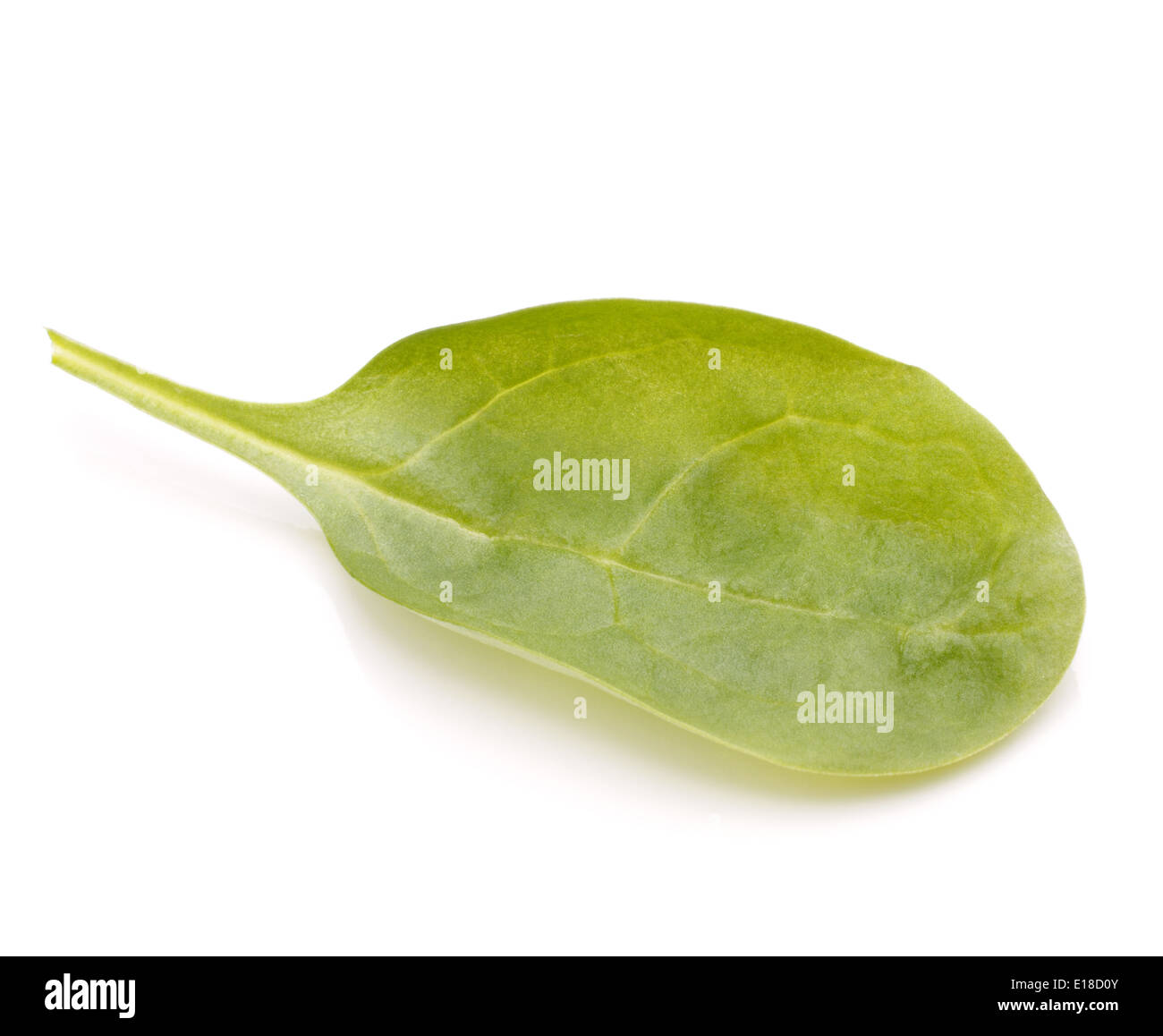 Spinach vegetables isolated on white background cutout Stock Photo - Alamy
