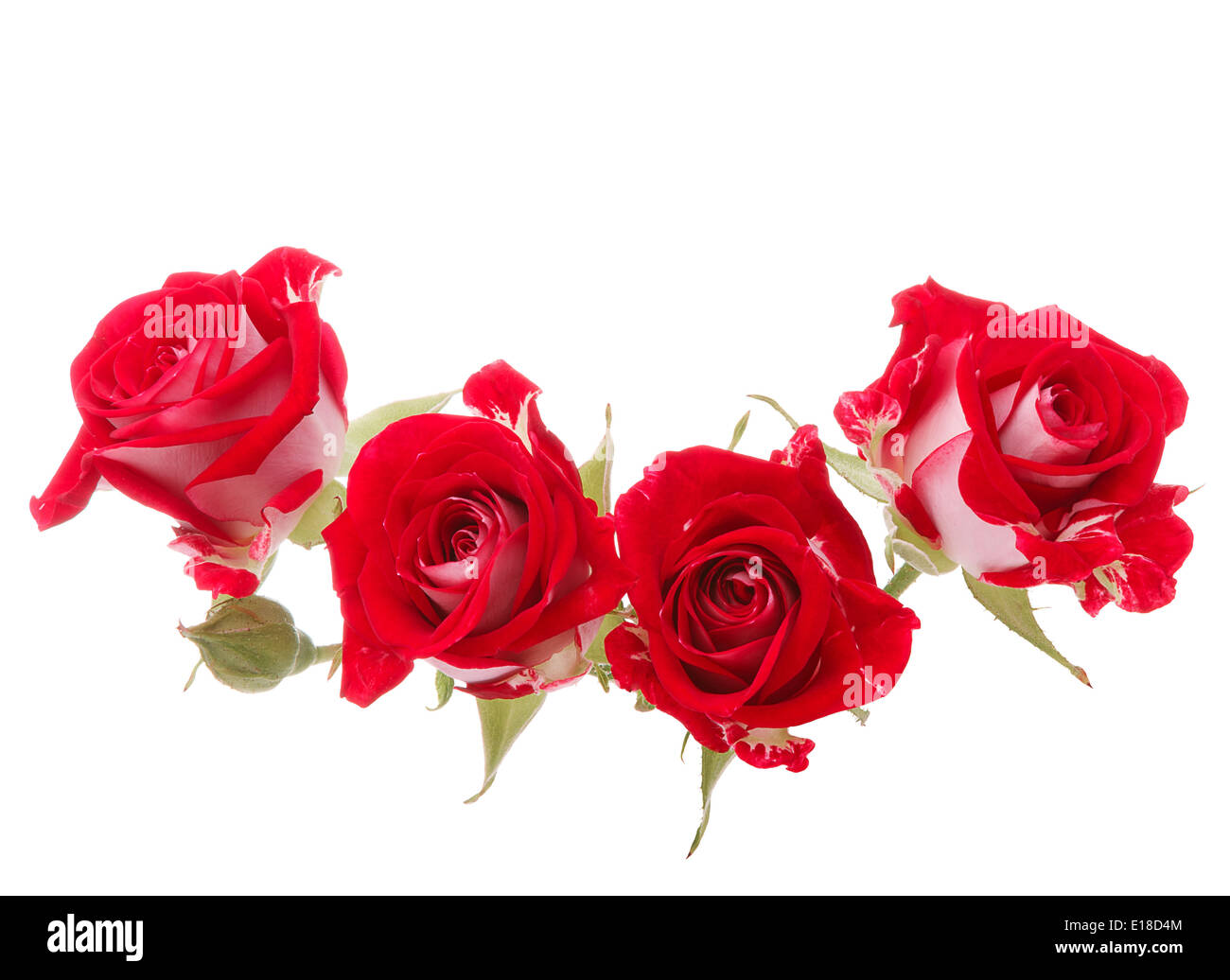 Four flower group green Cut Out Stock Images & Pictures - Alamy