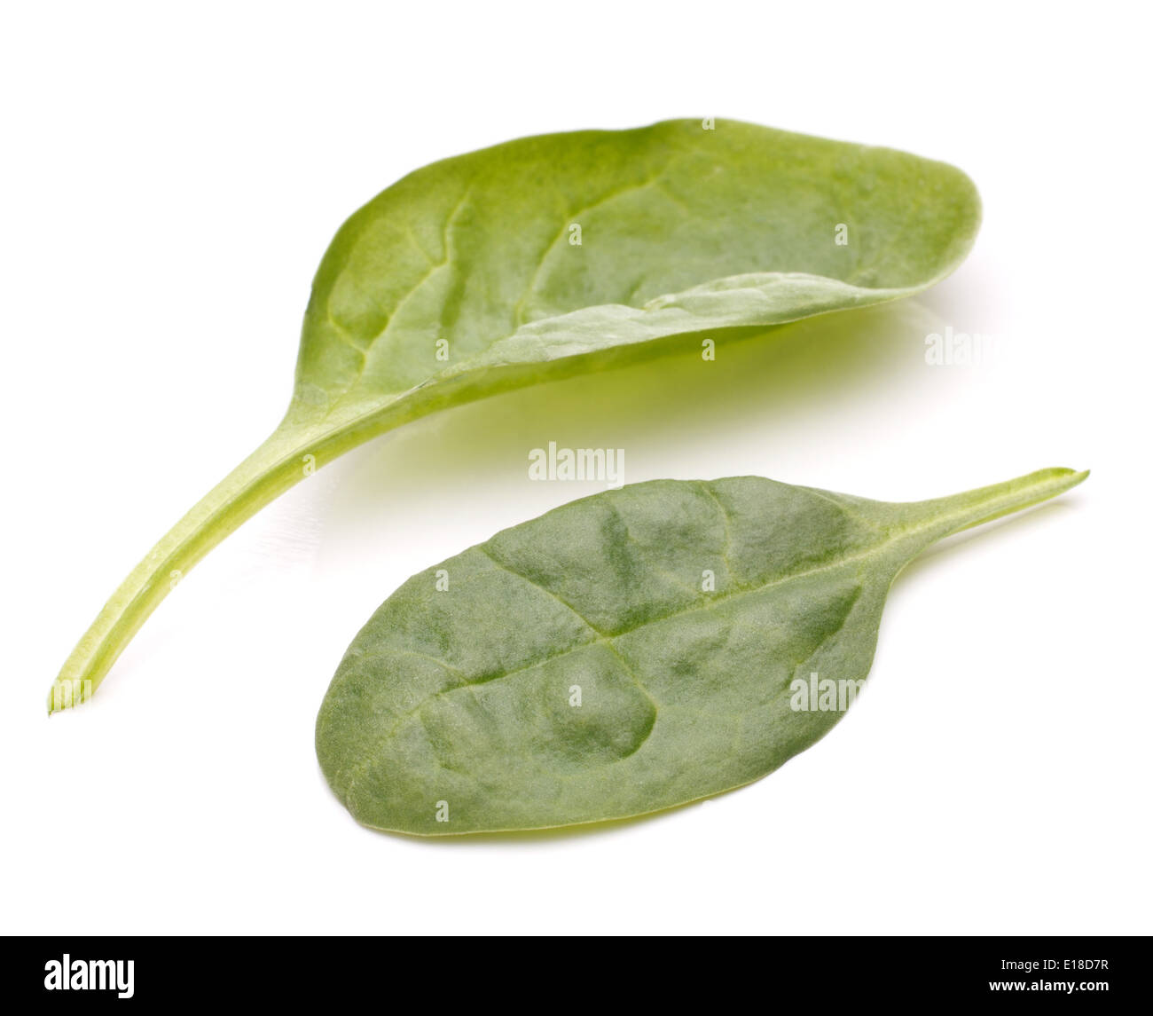 Spinach vegetables isolated on white background cutout Stock Photo - Alamy