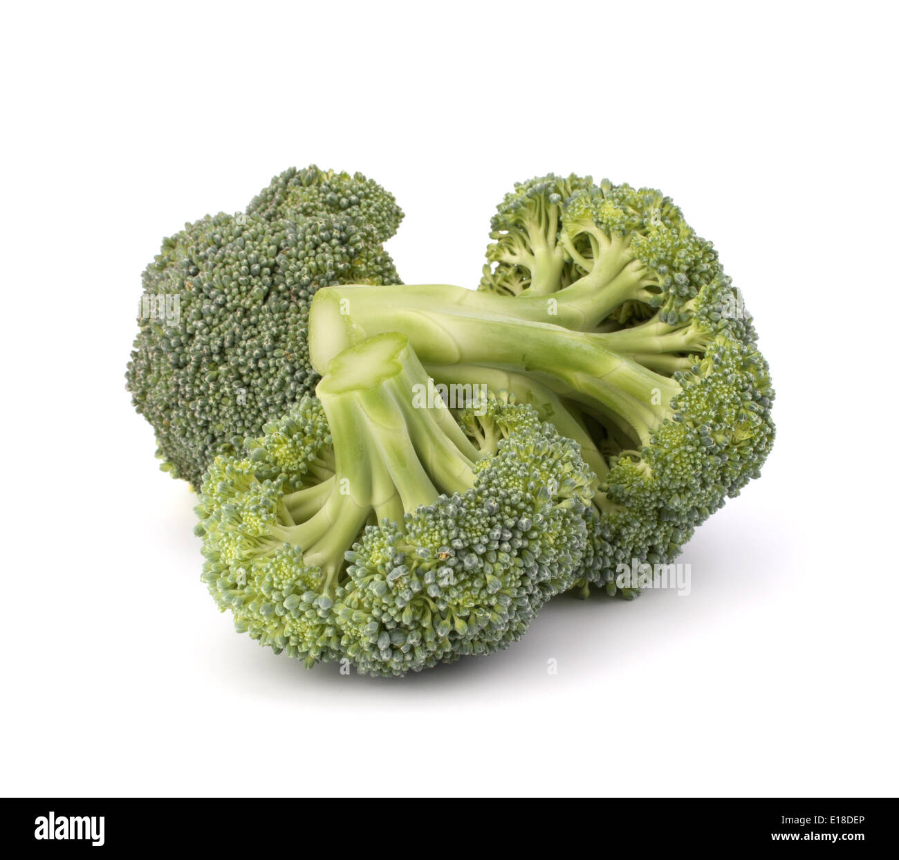 Broccoli vegetable isolated on white background Stock Photo - Alamy