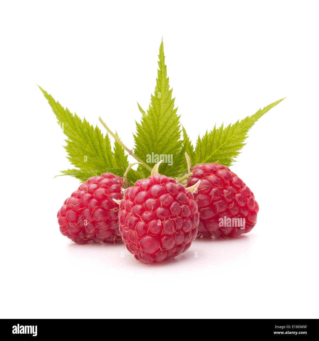 Sweet raspberry isolated on white background cutout Stock Photo - Alamy