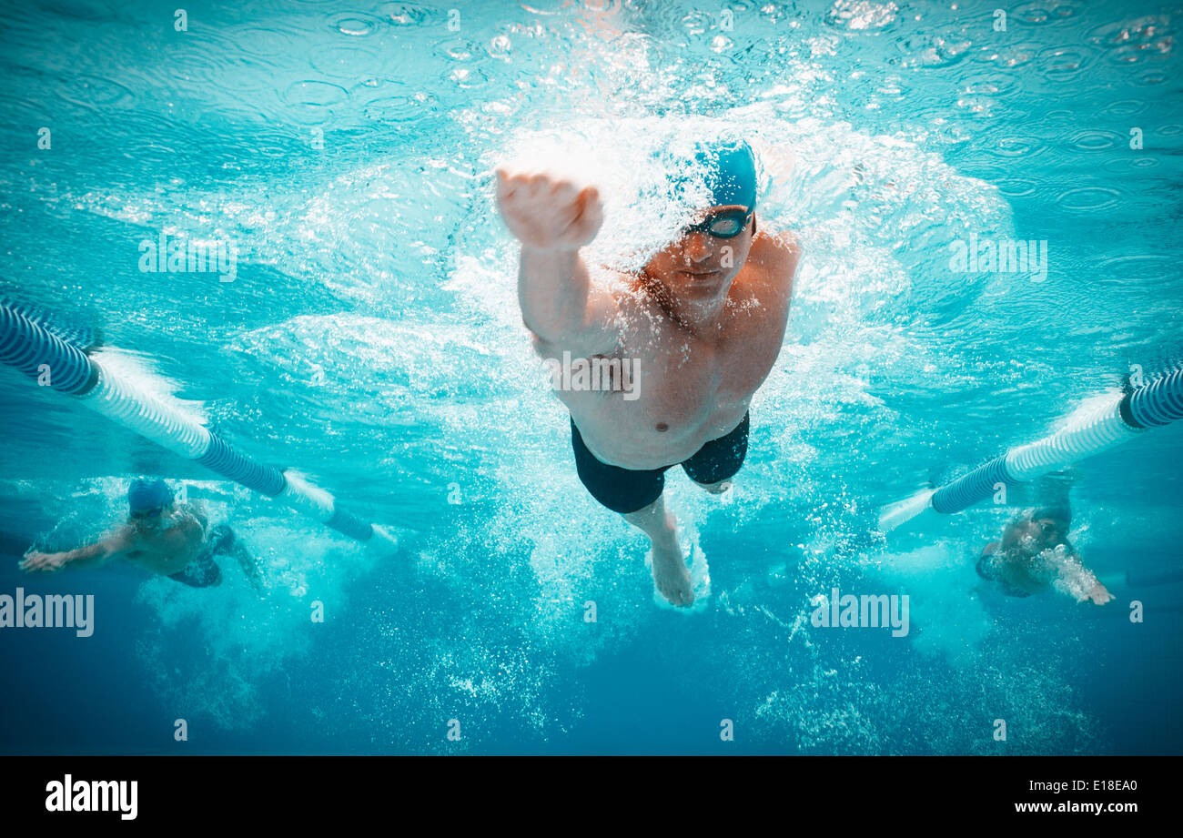 Swimmers racing in pool Stock Photo - Alamy