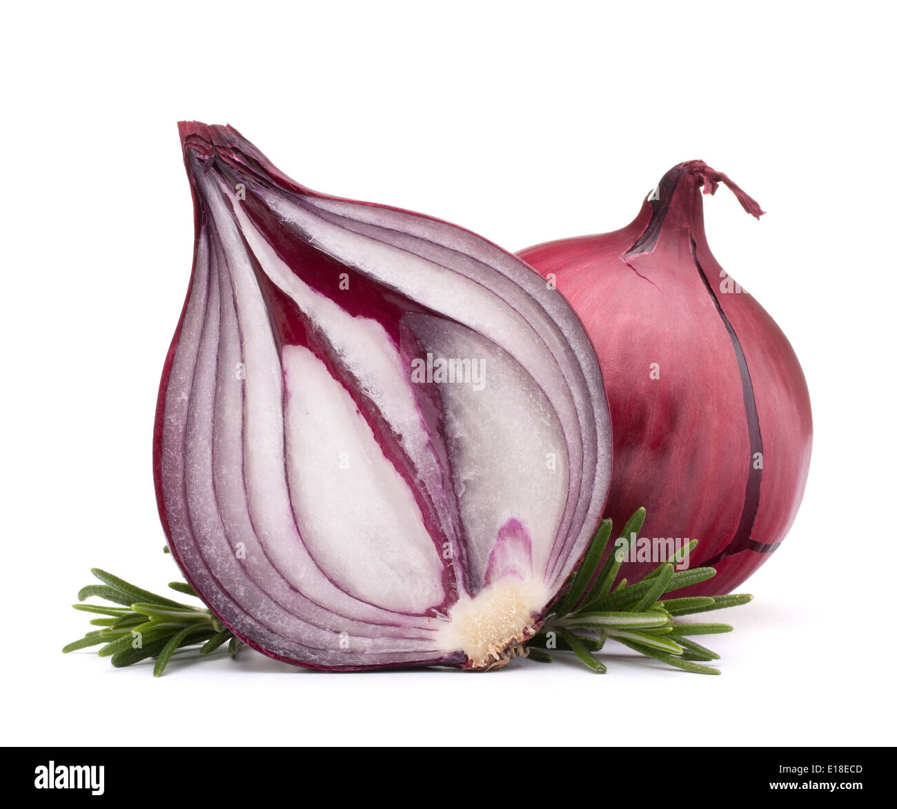 red onion and rosemary leaves still life isolated on white background ...